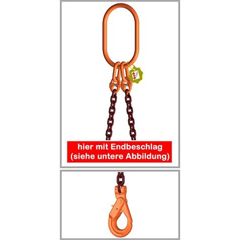 Fs 2 Strang Kettengehänge Güteklasse 10 Mit Pas Kette 8 Mm 1 Mtr