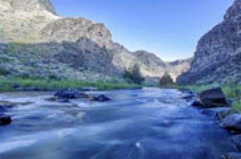 Full Details Of 2015 Collaborative Fund Projects Now Available Cambridge Conservation Initiative