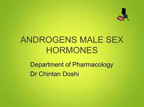 Male Sex Hormone Presentation Amrutheshpptx