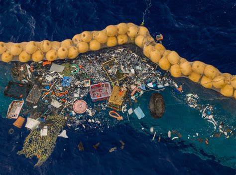 Estante Diario Baños La Isla Del Plastico Están Deprimidos Librería Anuncio