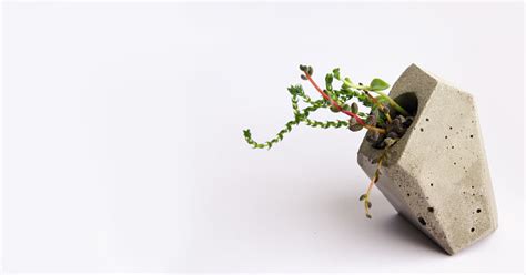 콘크리트 냄비에 다육 식물과 선인장의 미니 정원의 배너 작은 묘목을위한 수제 콘크리트 냄비 회색 시멘트 로프트 스타일의 인테리어 장식 매크로 촬영 식물 Diy에 대한 스톡