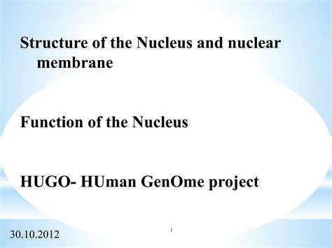 SOLUTION Cell Nucleus Structure And Function Studypool