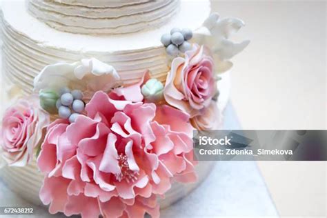 흰 설탕 코팅된 나무의 클로즈업 사진 계층 웨딩 케이크 핑크 장식 식용 감 복숭아 사탕 꽃 케이크의 측에 배치에 초점 가까운에 대한 스톡 사진 및 기타 이미지 Istock