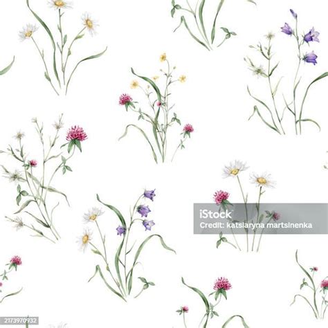 수채화 꽃 완벽 한 패턴 와 여름 Meadow 꽃 와 식물 소박한 스타일 블루벨 미나리아재비 클로버 카모마일로 그린 핸드 드로잉 프린트 나뭇잎과 식물로 벽지를 반복하십시오