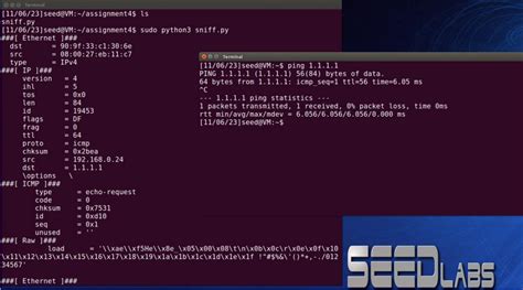 Seedlab Network Security Writeup Packet Sniffing Icmp Spoof