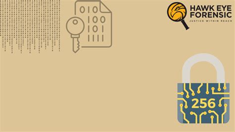 Digital Forensics Archives Hawk Eye Forensic