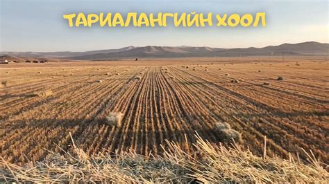 [Нөхрийн хоол] Амталсан тахиа Далайн байцаатай шөл Дарсан сонгино Youtube