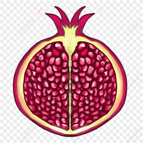육체 클립 일러스트 아트를 보여주는 반 석류펄프자홍색 Png 일러스트 무료 다운로드 Lovepik