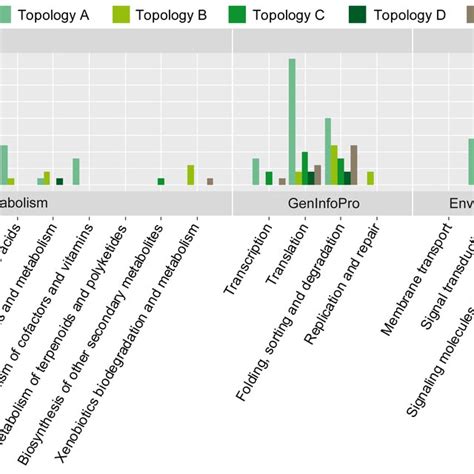 Functional Assignment Of Non Redundant Kegg Orthologous Genes Of