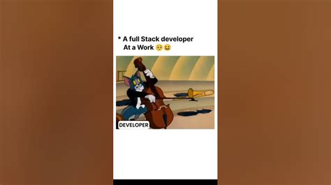 Full Stack Developer Developer Coder Designer Website Foryou