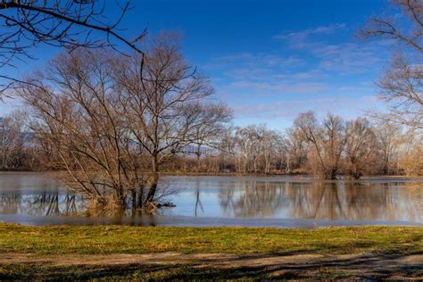 The Trees On The River Bank Are Flooded By The River Stock Image Image Of Landmark Flood