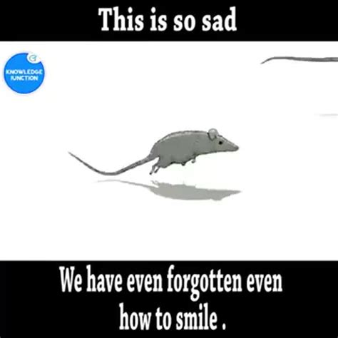 Devendra Upadhyay Posted On Linkedin