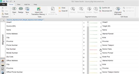 Processing A Plain Bilingual Excel File For Reviewing Stage In Trados Activetranslation By Khadis
