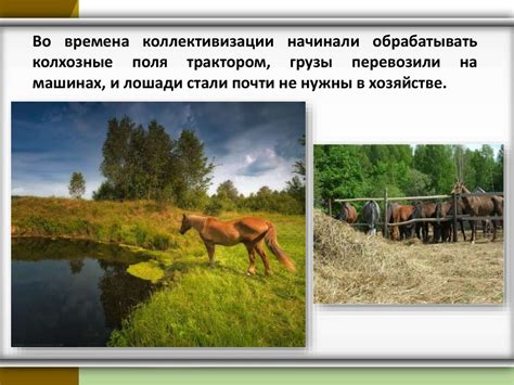 О чём плачут лошади - презентация онлайн