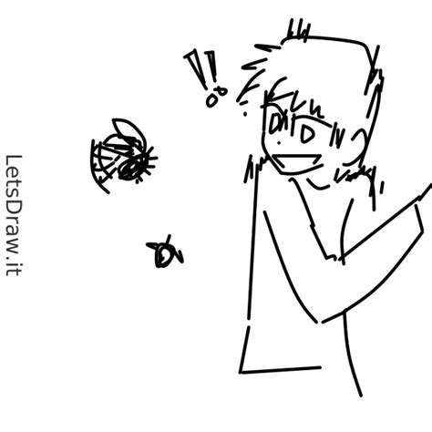 How To Draw Bugs Dxnnjep63 Png LetsDrawIt