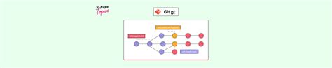Git GC Scaler Topics