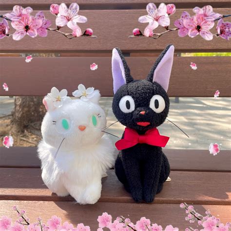 이상형을 만나 부끄러운 지지🤍🖤 콜리 Colley