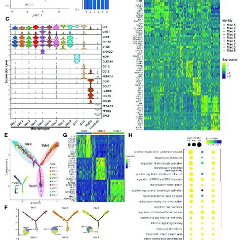 Transcriptome Profiles Of Myeloid Cells In Metastatic Lymph Nodes A