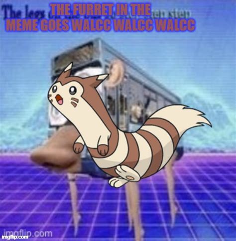 The Furret In The Meme Goes Walk Walk Walk Imgflip
