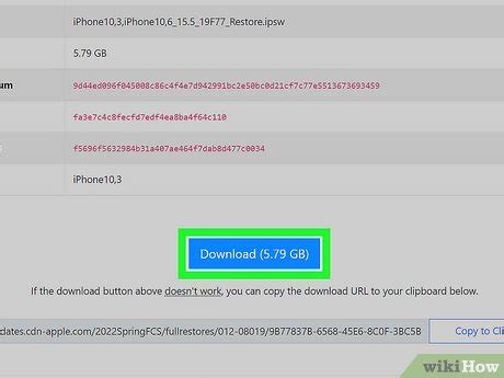 How To Downgrade IOS 13 Steps With Pictures WikiHow