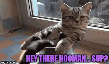 Hey There Imgflip