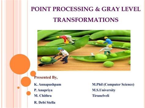 Lecture 16 Kl Transform In Image Processing Pdf 3 D Graphics Computer Software And