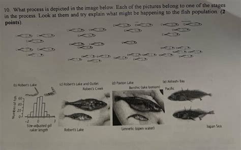 Solved What Process Is Depicted In The Image Below Each Chegg