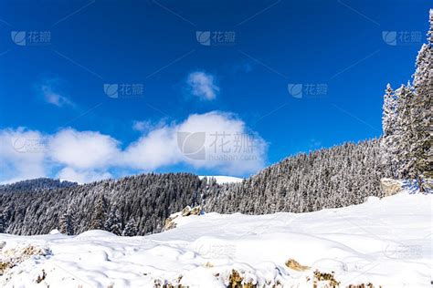 第一场雪