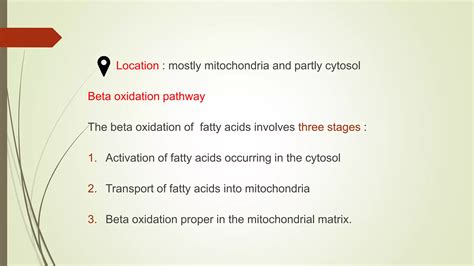 Beta Oxidation Of Fatty Acids Pptx