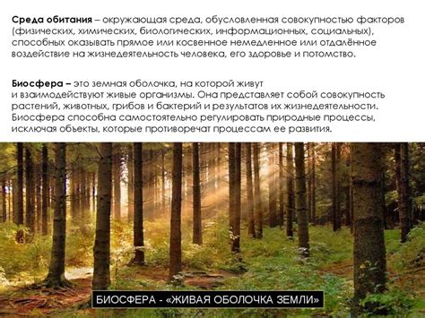 Безопасность жизнедеятельности. Введение в БЖД (лекция 1) - online ...