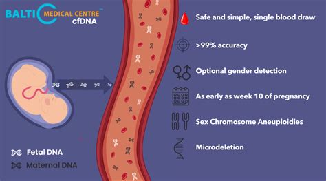 Non Invasive Prenatal Test Nipt Baltic Medical Centre