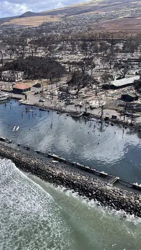 People In Hawaii Jumped Into The Ocean To Escape Wildfires Trstdly