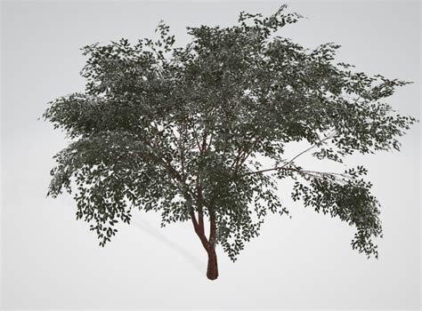 Github Sarah Hesham 2022augmented Reality Raycast Augmented Reality