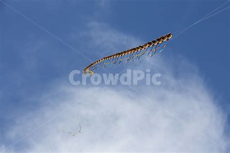 하늘 연 구름 문양 희망 사진 이미지 일러스트 캘리그라피 봉구58작가