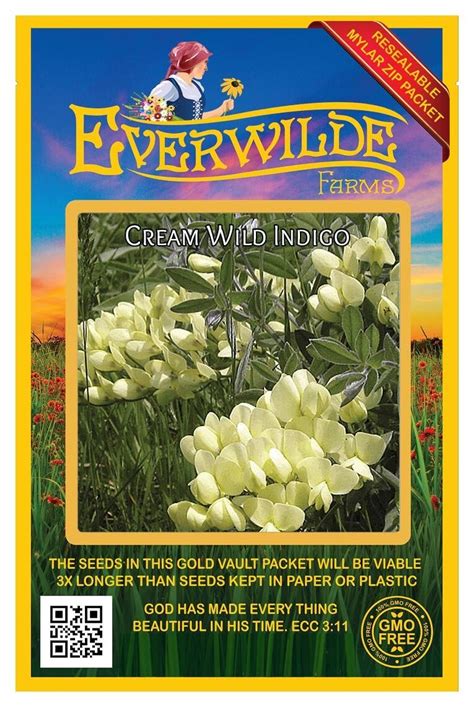 Indigo Seeds For Planting 60 Blue Wild Indigo Wildflower Seeds