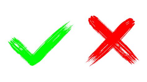 두 더러운 그런 지 손으로 그린 브러시 스트로크 크로스 X와 진드기 확인 확인 표시 벡터 일러스트 레이 션 흰색 배경에 고립