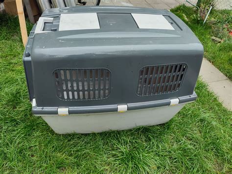 Cusca Transport Caini Carasti • Olx Ro