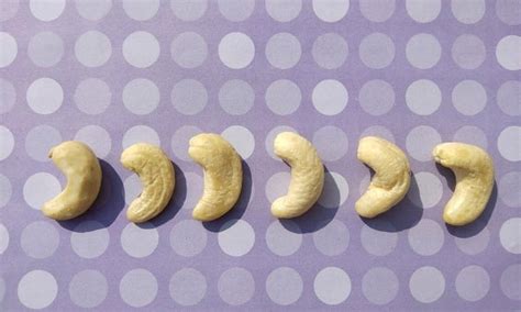Cashew Grades Different Cashew Nut Grades Cashew Kernel