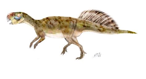 Psittacosaurus Feathers