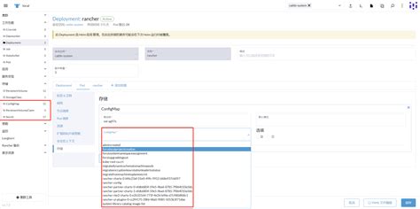 创建 configmap secret 后添加对应类型的卷 环境变量时下拉菜单提示 no matching options rancher 2 x rancher 中文论坛