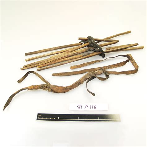 Arrow Bundle The Mary Rose