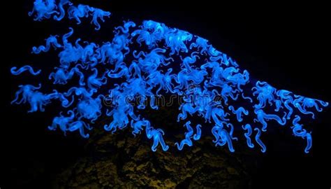 Abstract Blue Flame Texture Energy Background Fire Effect Dynamic Texture Blue Fire Stock