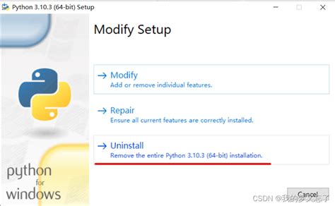 Python的环境搭建安装。python安装完成diable Csdn博客