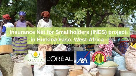 Olvea On Linkedin Insurance Net For Smallholders Ines Project In