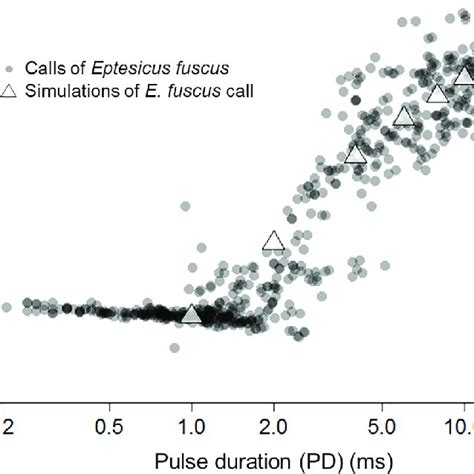 Temporal Structures Of Echolocation Pulses Emitted By The Big Brown Download Scientific Diagram