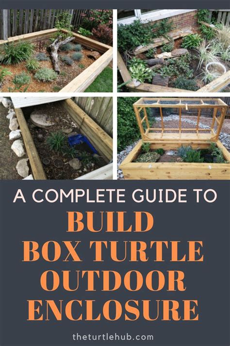 The Complete Guide To Build A Box Turtle Outdoor Enclosure