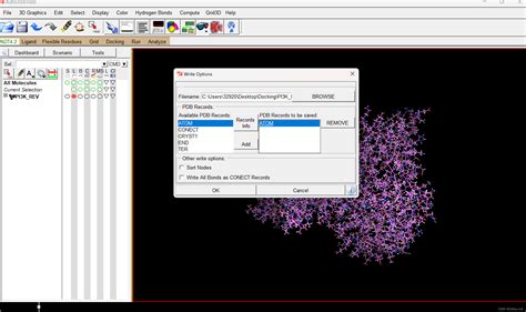 分子对接前准备：大小分子加氢pymol如何加氢 Csdn博客