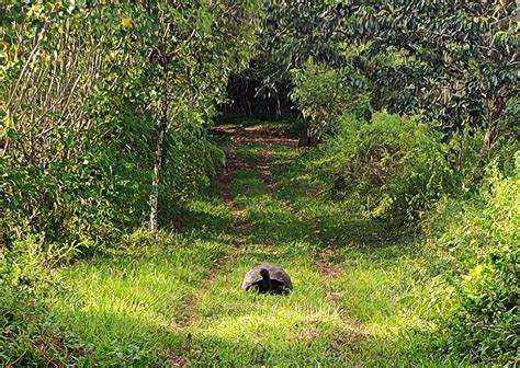 Community Conservation Programs Best Practices And Challenges Wildhub