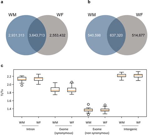 Landscape Of Snps And Indels In The Two Wild Type Genomes A Venn