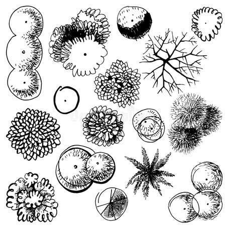 Trees And Shrubs Symbols In Plan View Stock Vector